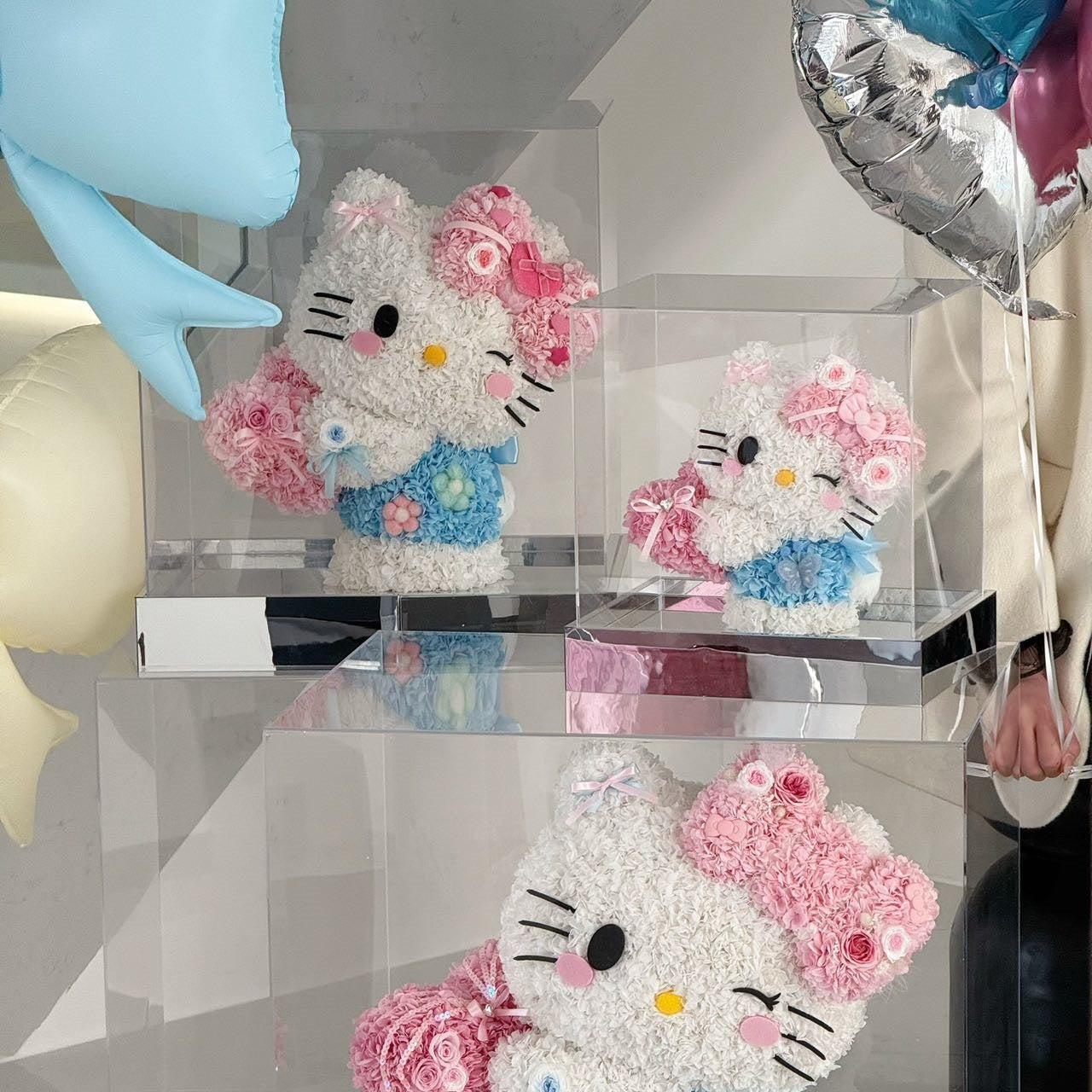 Preserved Kitty Cat – Fantak Packaging